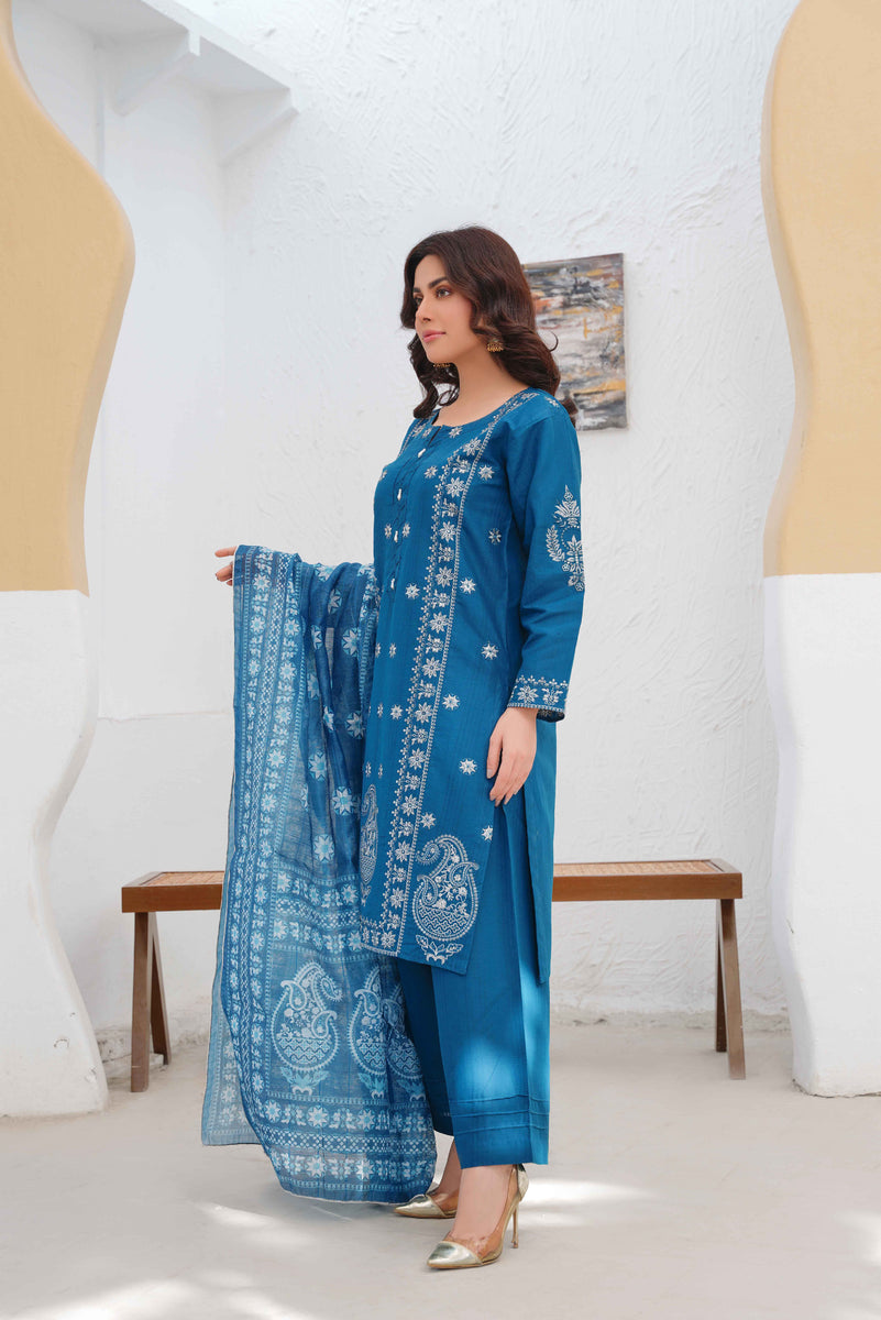 Grace Anmol 3-Piece Suit – Grace Stitch