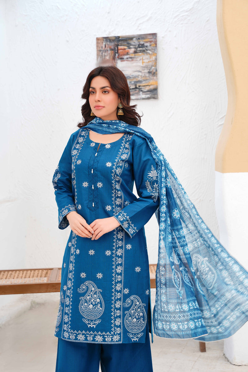 Grace Anmol 3-Piece Suit – Grace Stitch